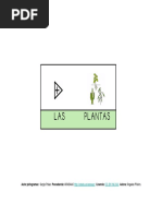Bingo de Plantas Pictos | PDF