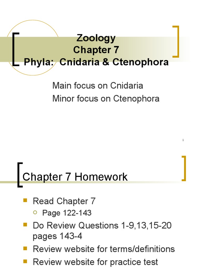 Zoology Phyla: Cnidaria & Ctenophora: Main Focus On Cnidaria Minor ...