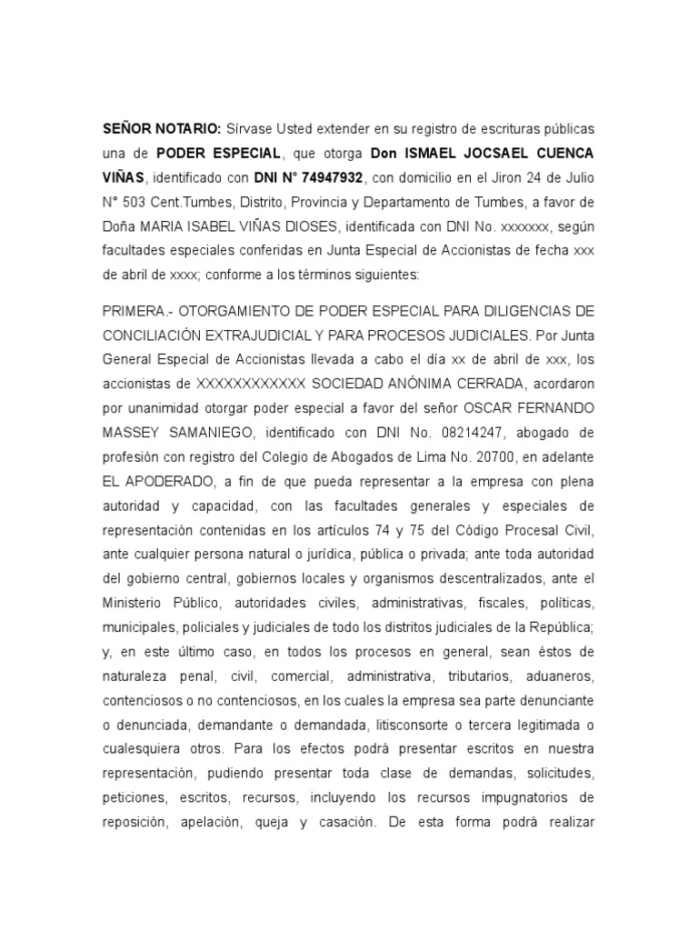 Modelo de Poder para Representar en Juicio | PDF | Apelación | Justicia