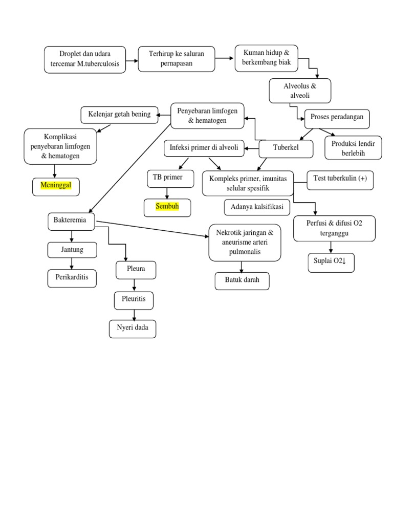 Patoflow TB Paru Kelompok 2 | PDF