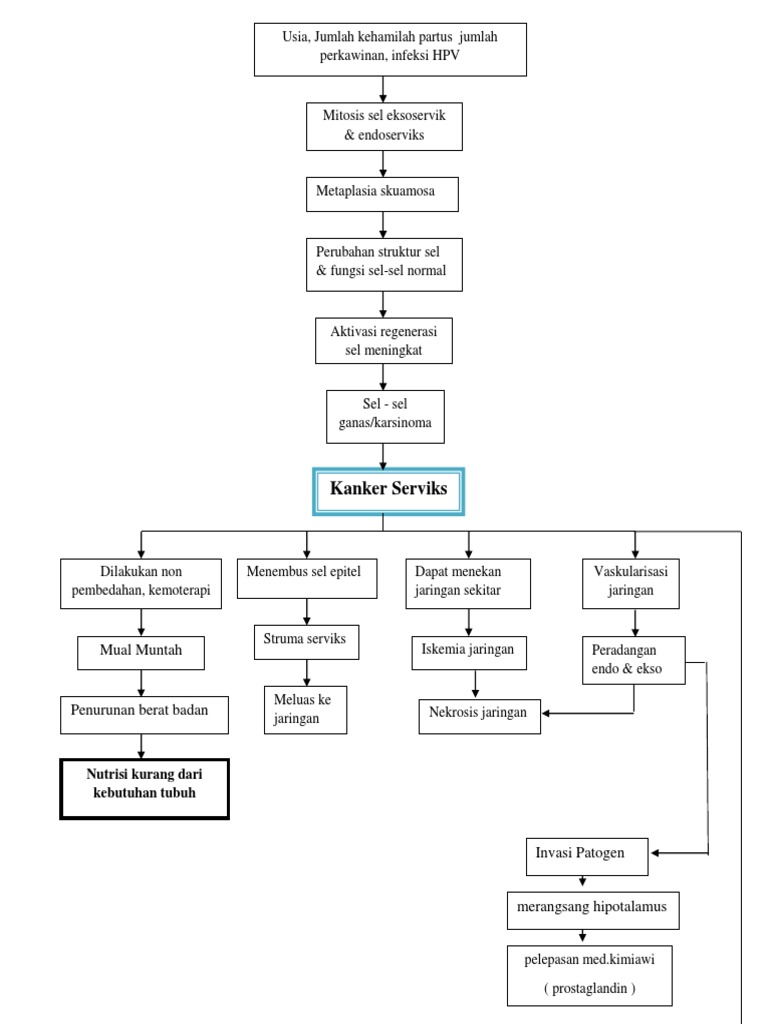 Patoflow CA Serviks Fix | PDF