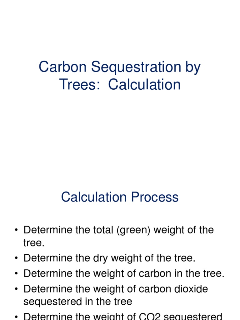 Carbon Sequestration by Trees | PDF | Carbon Sequestration | Carbon Dioxide