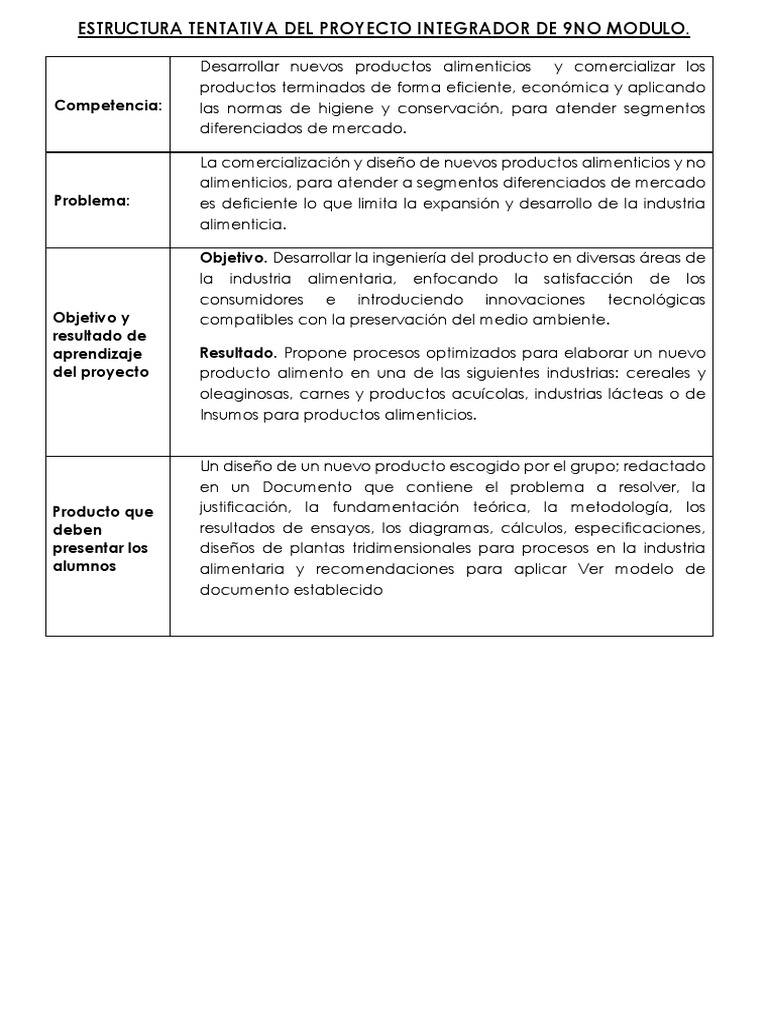 Estructura Tentativa Del Proyecto Integrador de 9no Modulo | PDF