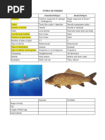 Fish Names in Marathi | PDF | Fishing Industry | Aquatic Animals