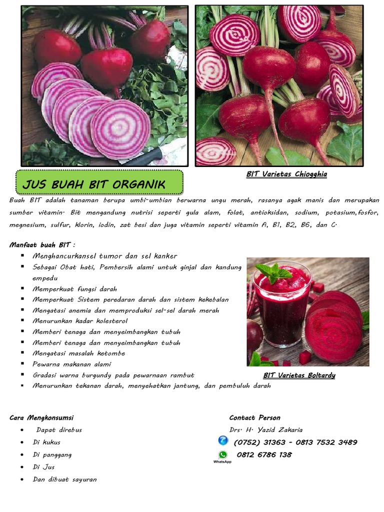 Buah Bit | PDF