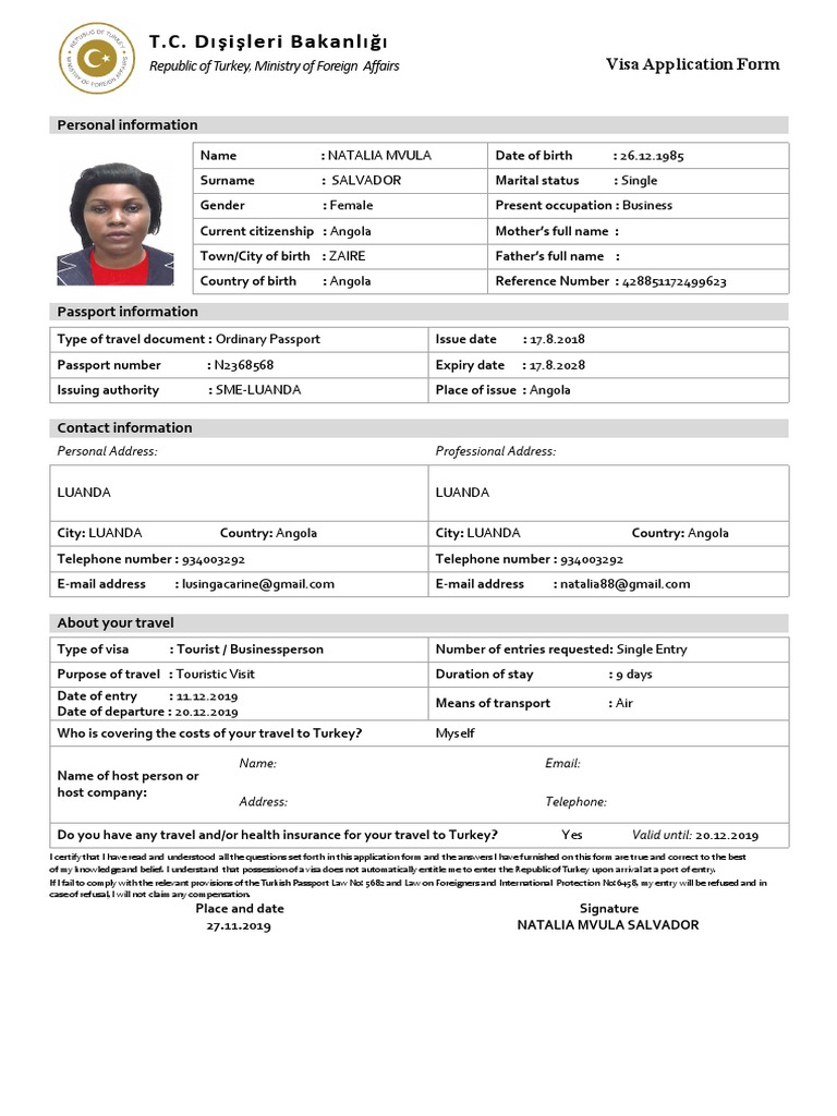 Visa Applicationform | PDF | Travel Visa | Passport