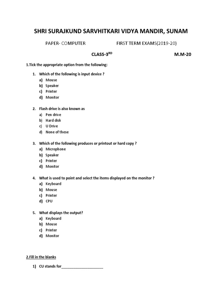 Class 3rd Computer Paper | PDF | Computer Hardware | Computer Data Storage
