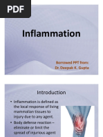 BIOZONE IB Biology 2nd Edition Sample Packet | PDF | Cell Potency | Mitosis