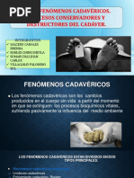 Fase Cromatica, Enfisematosa, Licuefactiva, Esqueletización y ...