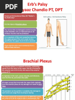 Dr. C Bravado: CTG Assessment Guide | PDF