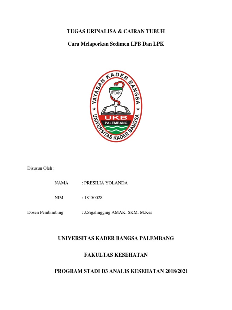 Laporan Urinalisa | PDF