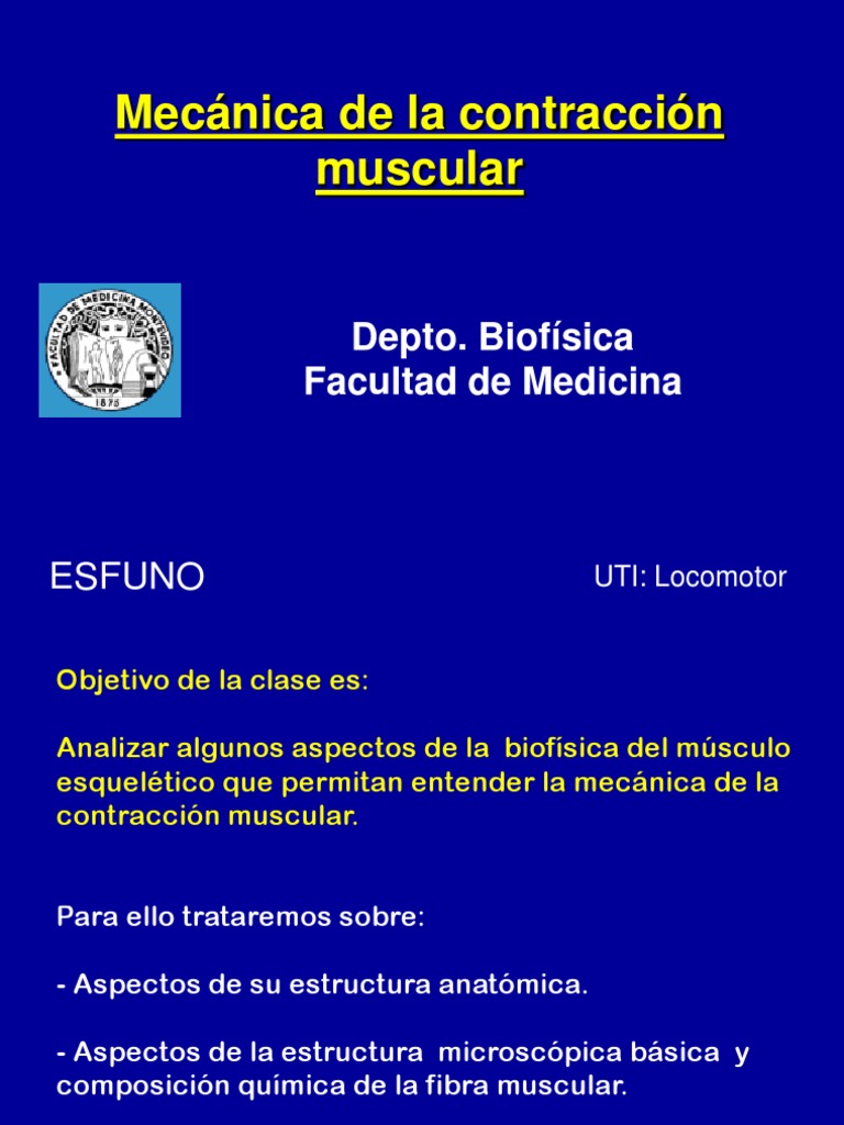 Mecanica Muscular | PDF | Músculo | Contracción muscular