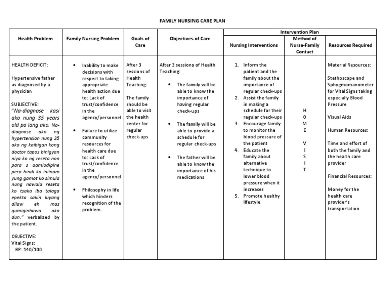 Family Nursing Care Plan Final | PDF | Physical Examination | Health Care