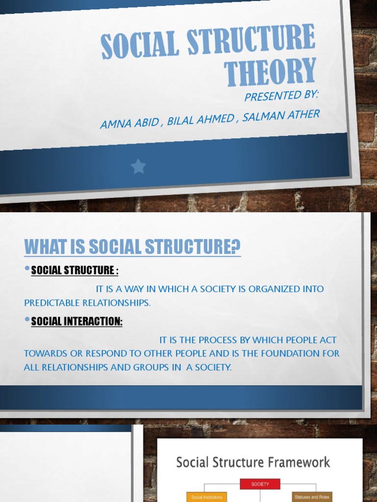Social Structure Theory | PDF | Social Stratification | Social Divisions