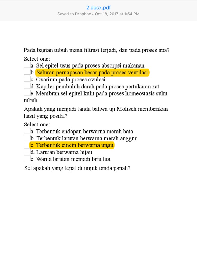 UTS Praktikum Ibd 2017 | PDF