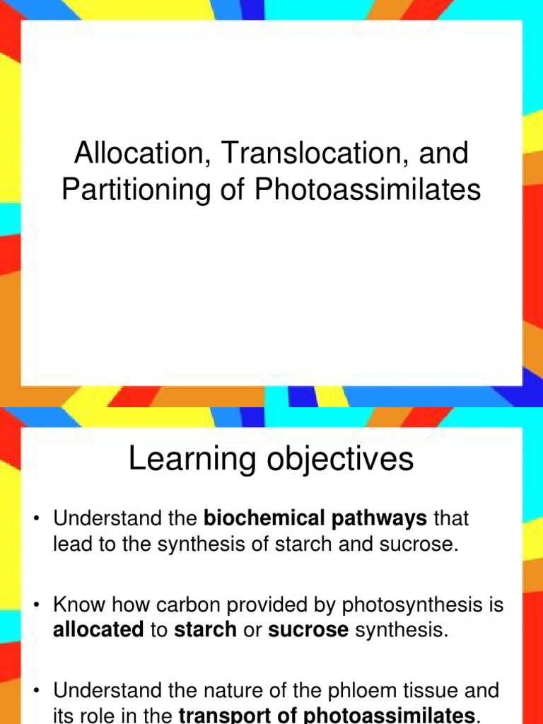 Allocation Translocation and Partitioning of Photoassimilates | PDF ...