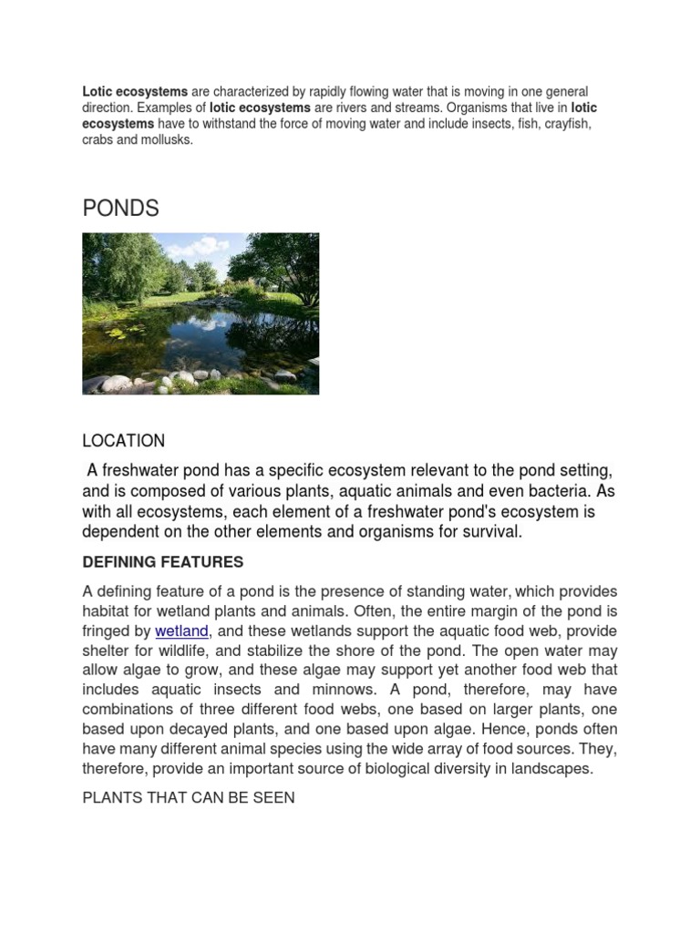 Lotic Ecosystems | PDF | Pond | Aquatic Ecosystem