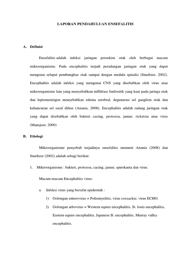 Laporan Pendahuluan Ensefalitis | PDF