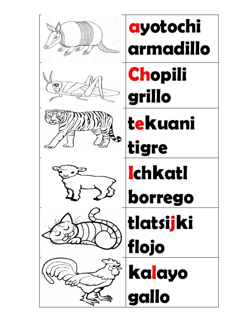 Alfabeto Nahuatl Con Dibujos de Animales 2 | PDF