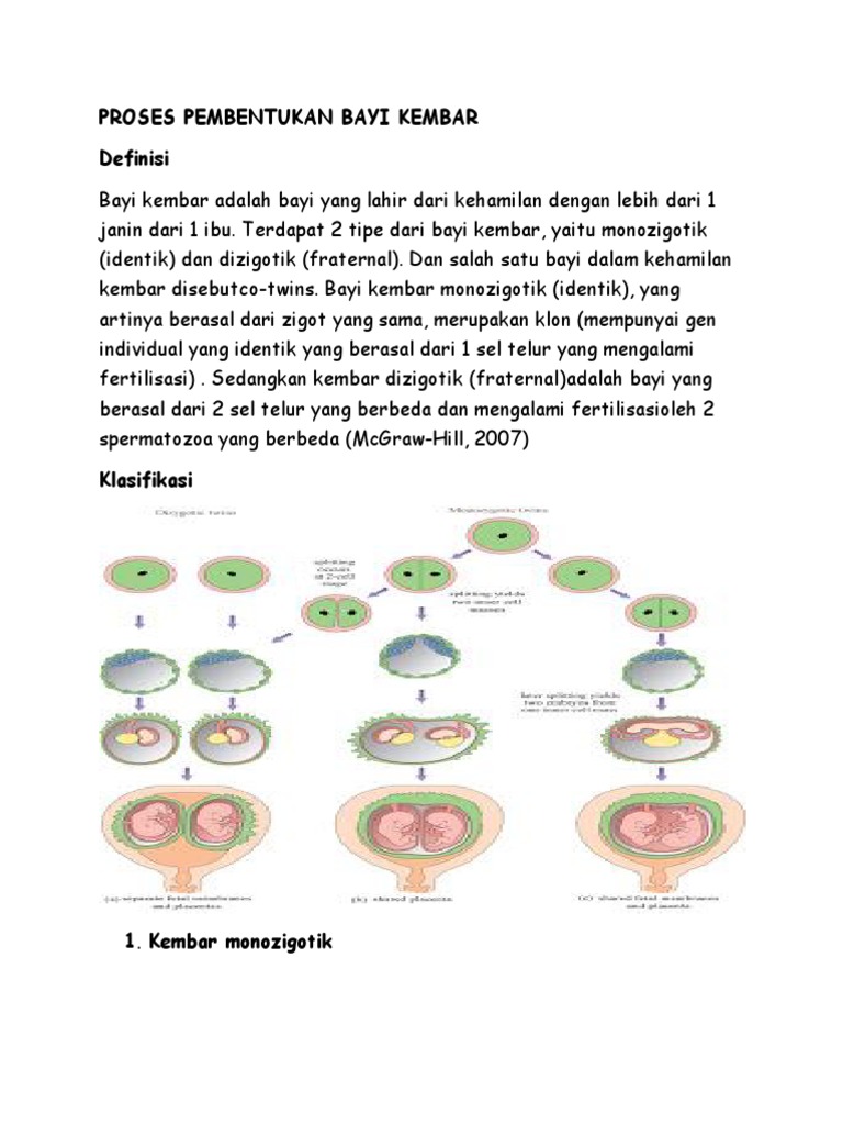 Proses Pembentukan Bayi Kembar Monozigotik Dan Dizigotik | PDF