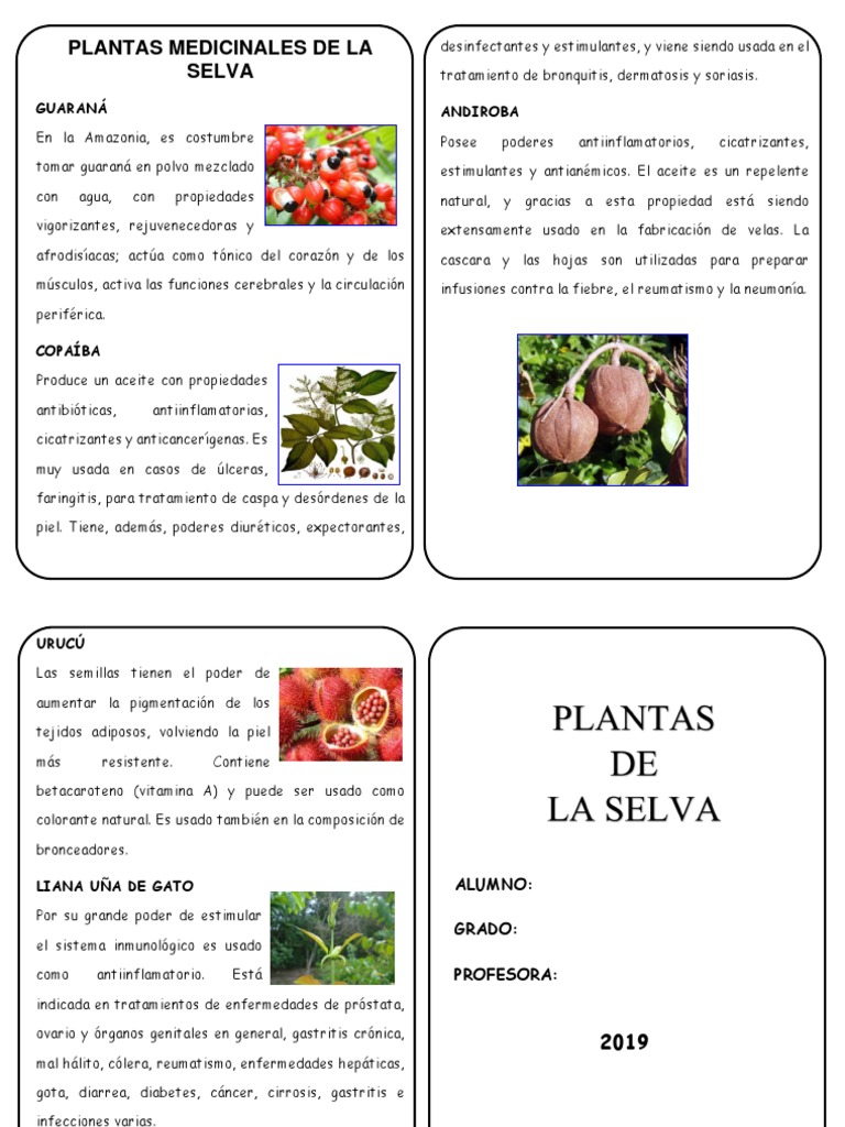 Plantas Medicinales de La Selva | PDF