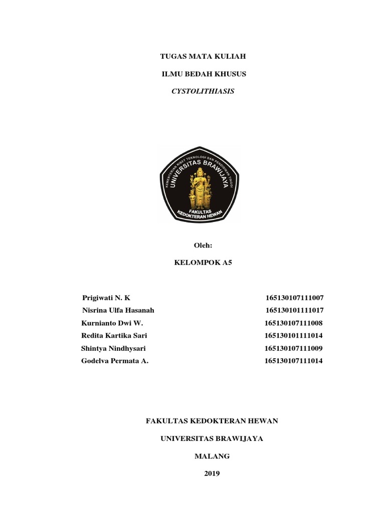 Cystolithiasis Bab 1 | PDF | Kesehatan Holistik | Sains & Matematika