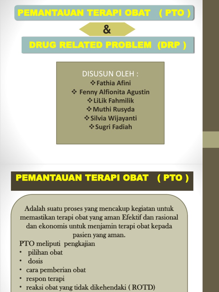 Pto Dan DRP | PDF