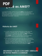 Introduccion Amef | PDF