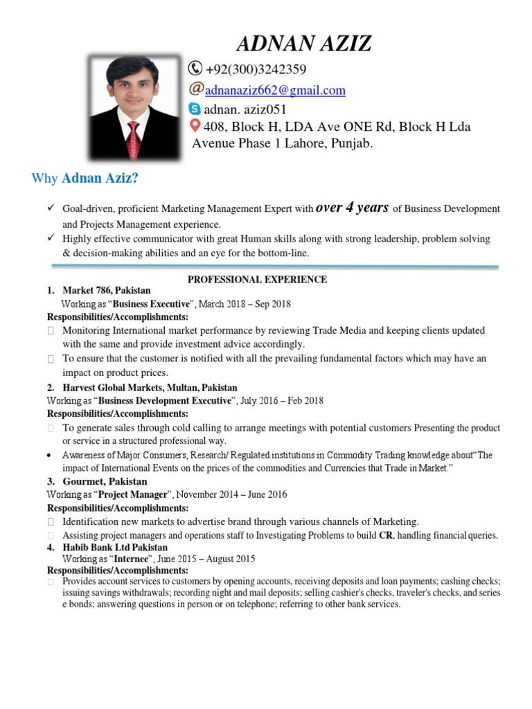 Adnan Aziz Professional CV PDF | PDF | Business | Market (Economics)