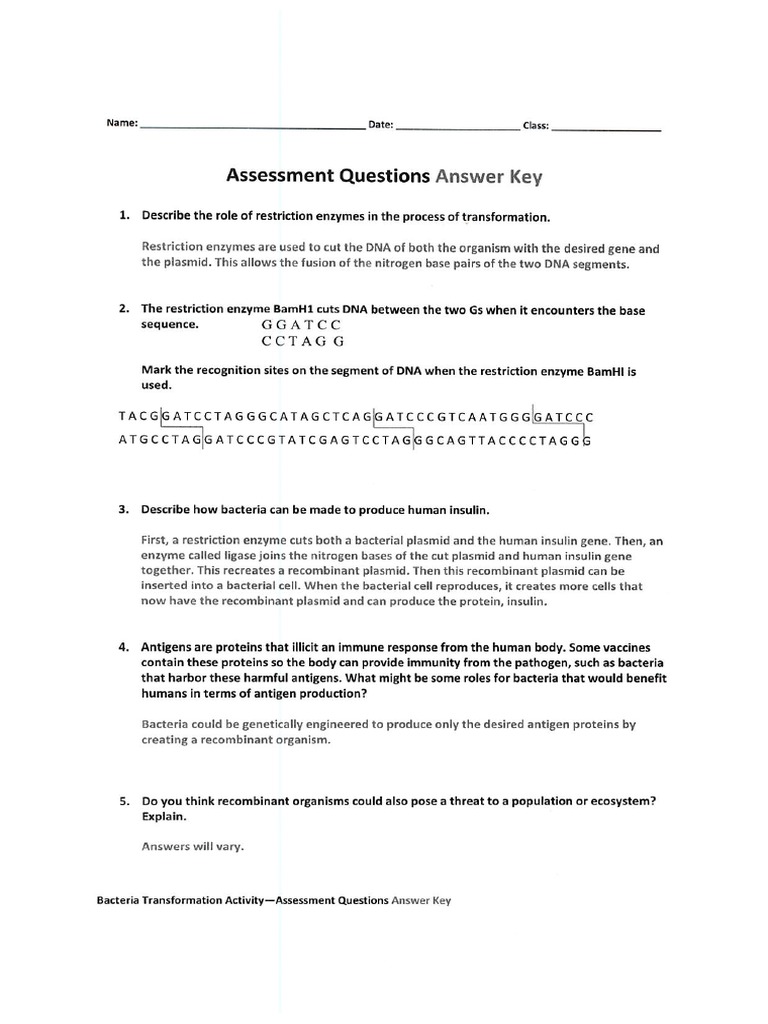 02 Assessment Questions-Answers | PDF