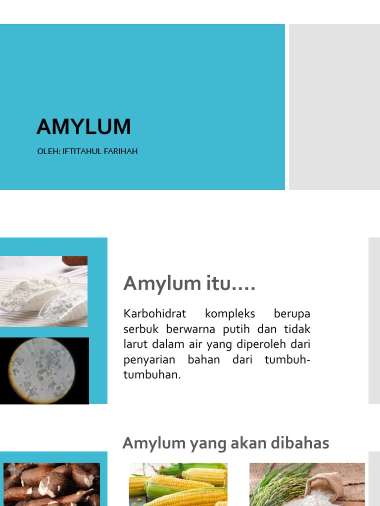 AMYLUM | PDF