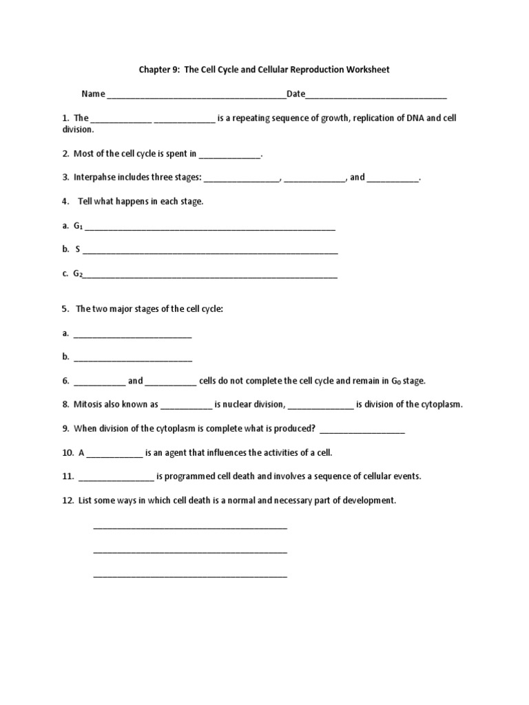 Chapter 9 The Cell Cycle and Cellular Reproduction Worksheet Summer ...