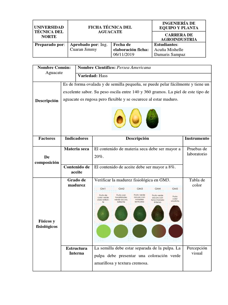 Ficha Tecnica Aguacate | Aguacate | Fruta