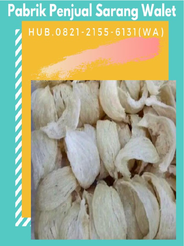 Sarang Walet Jogja, Jual Sarang Walet Bersih, Supplier Sarang Walet | PDF
