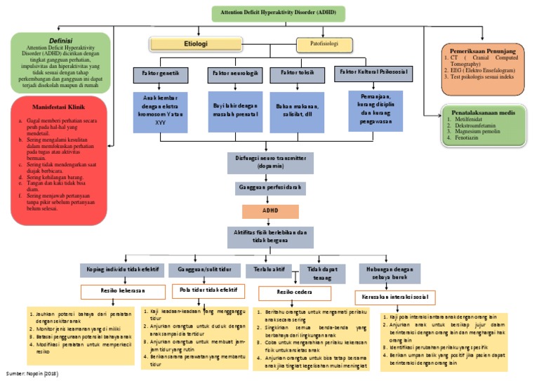 WOC Adhd Pada Anak | PDF