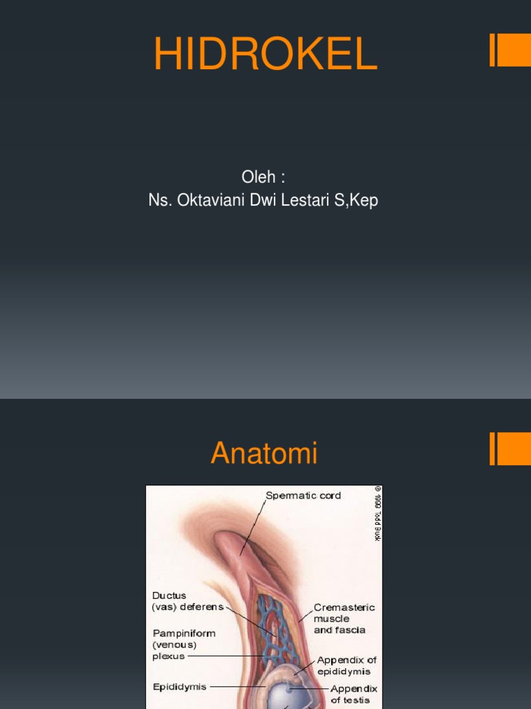 Hidrokel: Penyebab, Jenis, dan Penanganan | PDF | Kesehatan Holistik | Sains & Matematika