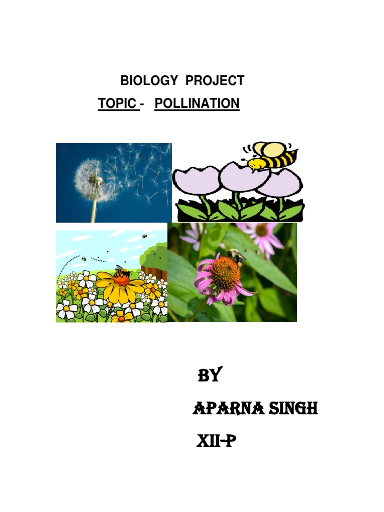 Pollination | PDF | Pollinators | Flowers