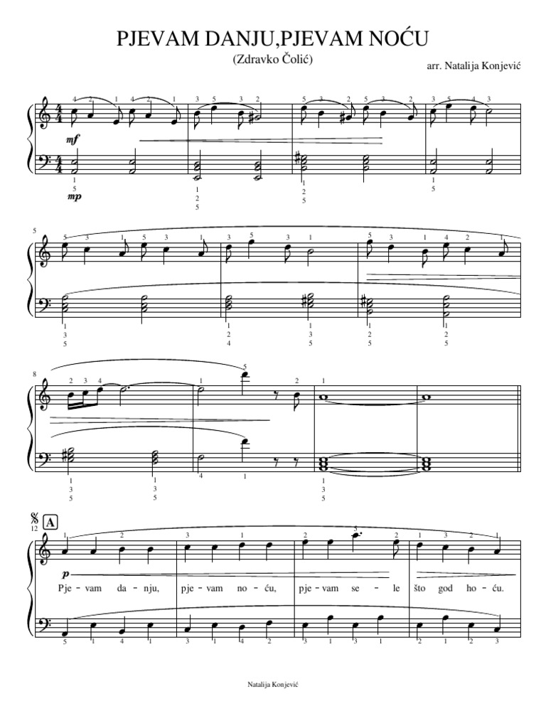 Pjevam Danju, Pjevam Noću | PDF