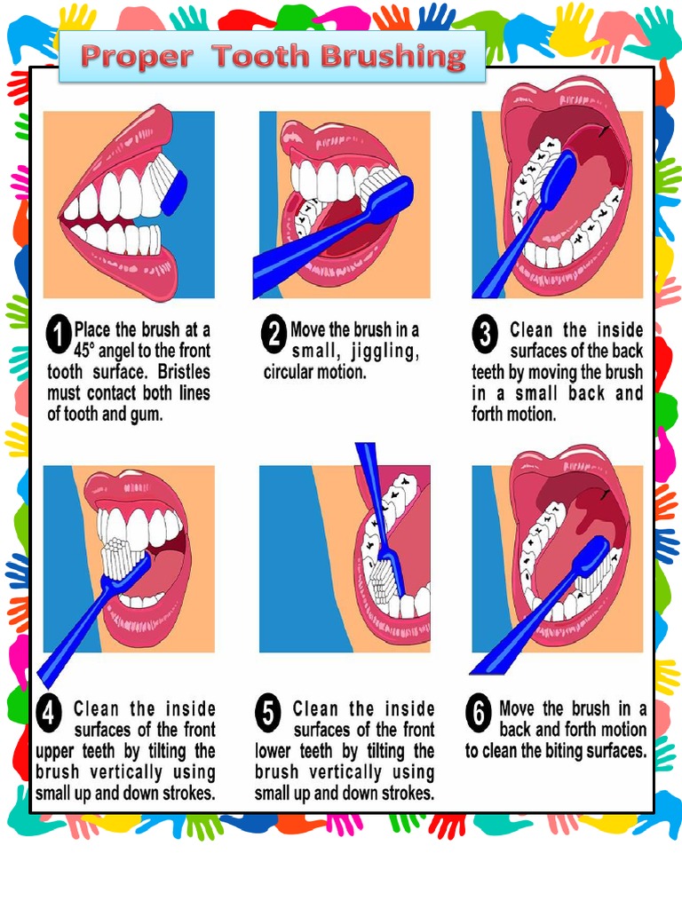 Proper Tooth Brushing | PDF