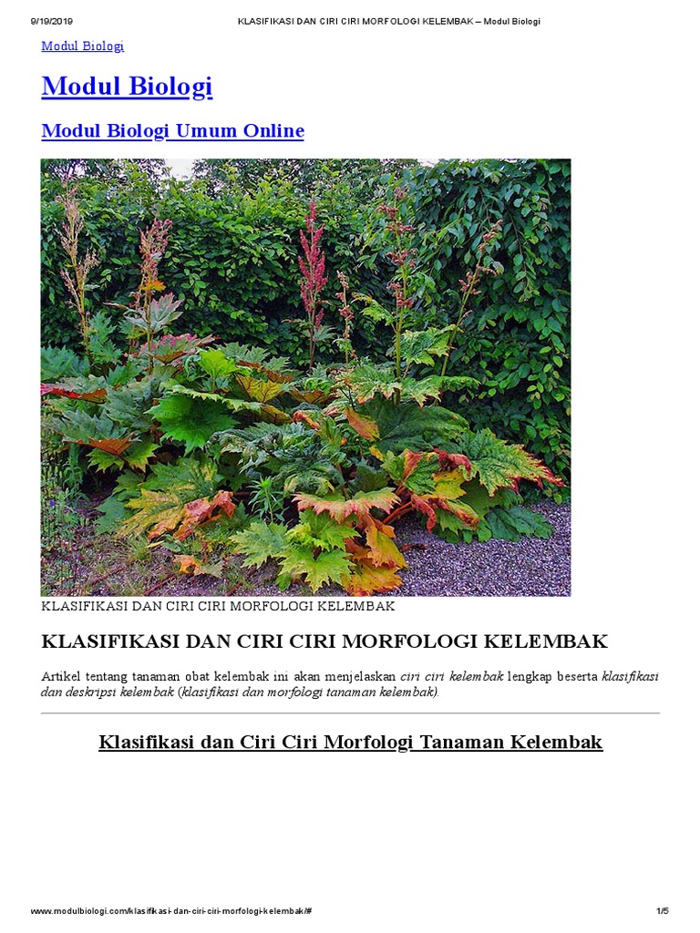 Klasifikasi Dan Ciri Ciri Morfologi Kelembak - Modul Biologi | PDF