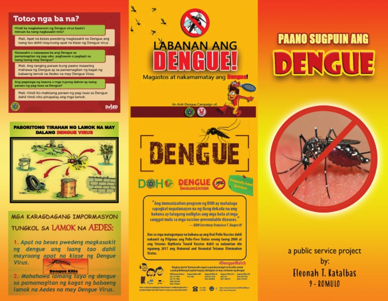 Dengue Flyer Front | PDF