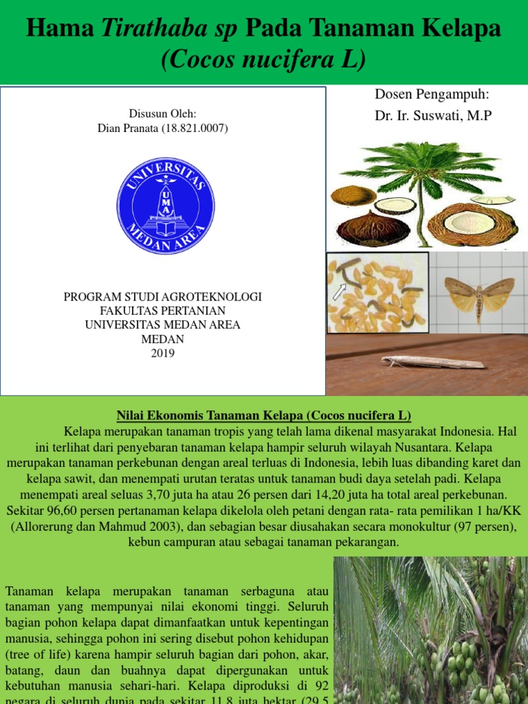 Hama Tirathaba SP Pada Tanaman Kelapa (Cocos | PDF