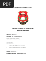 Inserto Esfinto Plus | PDF | Medicina CLINICA | Especialidades Medicas