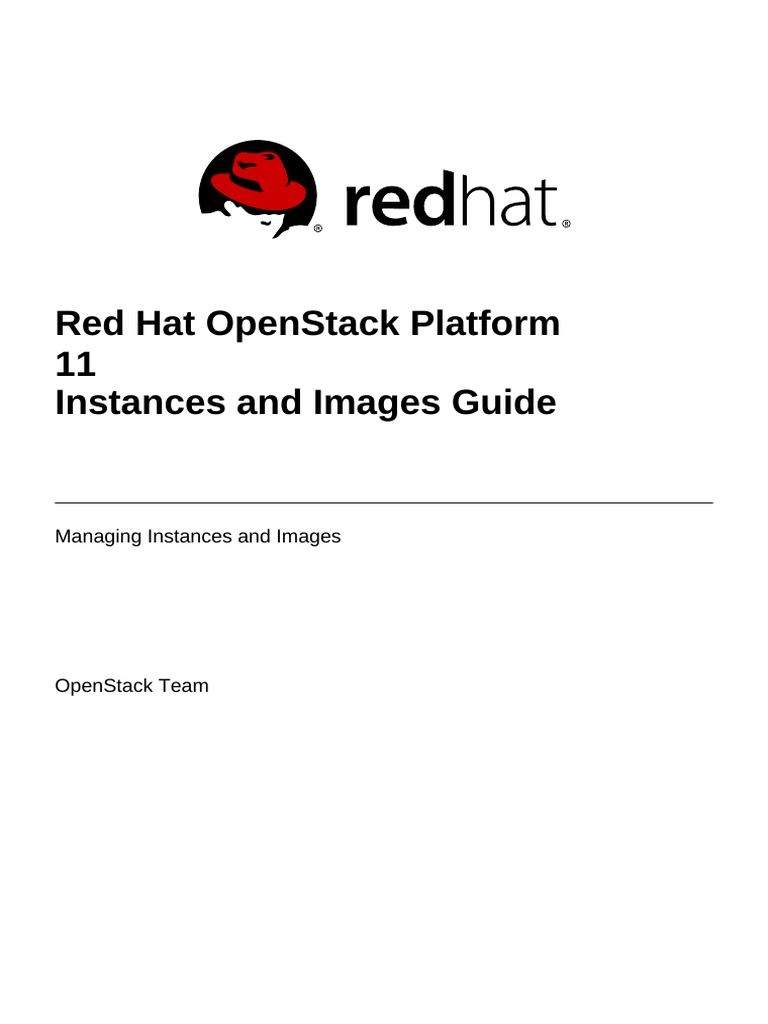 Red Hat Openstack Platform 11 Instances And Images Guide En Us Pdf