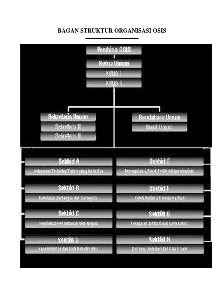 Bagan Struktur Organisasi Osis | PDF