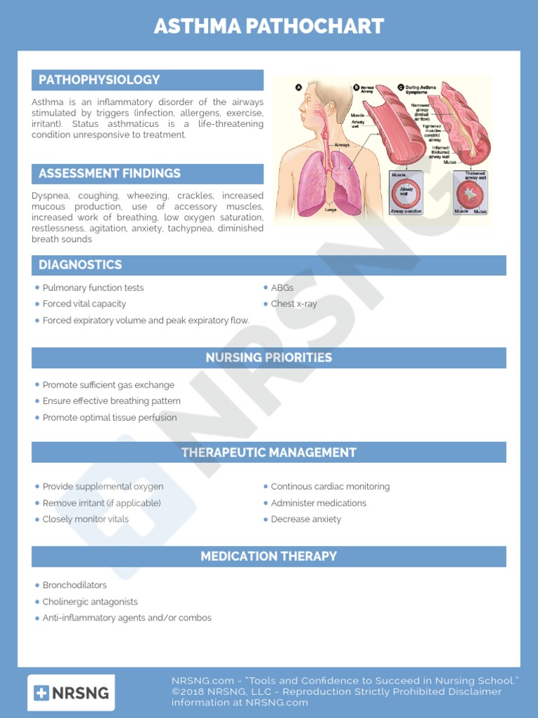 Cs Resp 003 Asthma Patho Chart | PDF