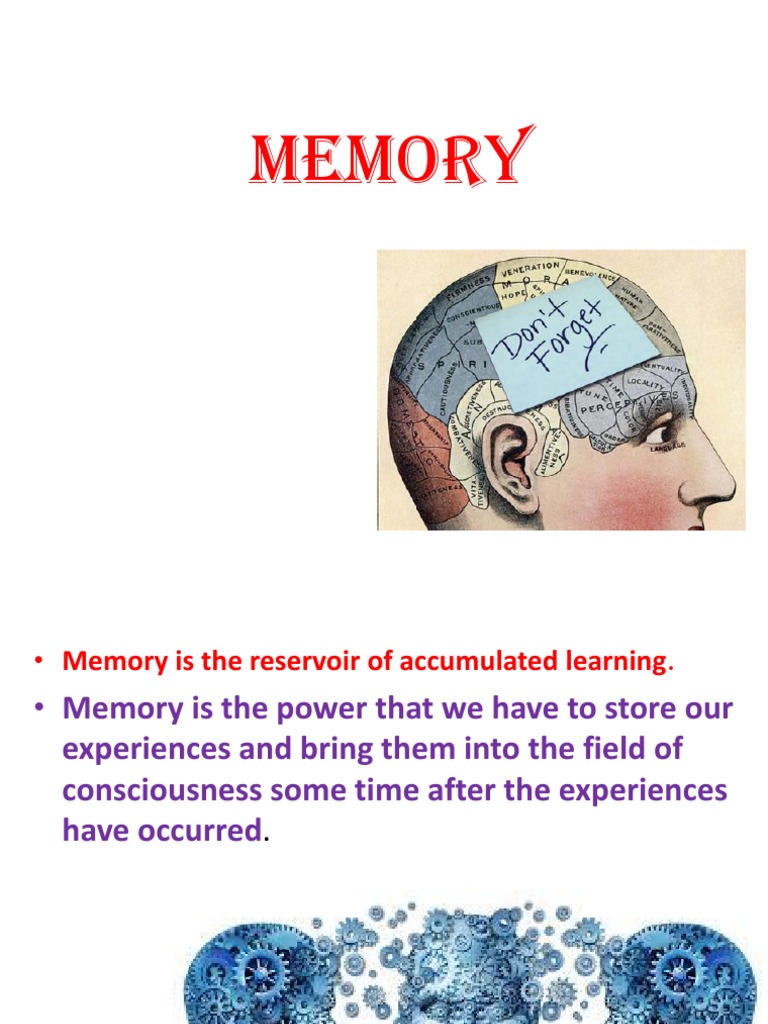 Memory | Download Free PDF | Amnesia | Memory