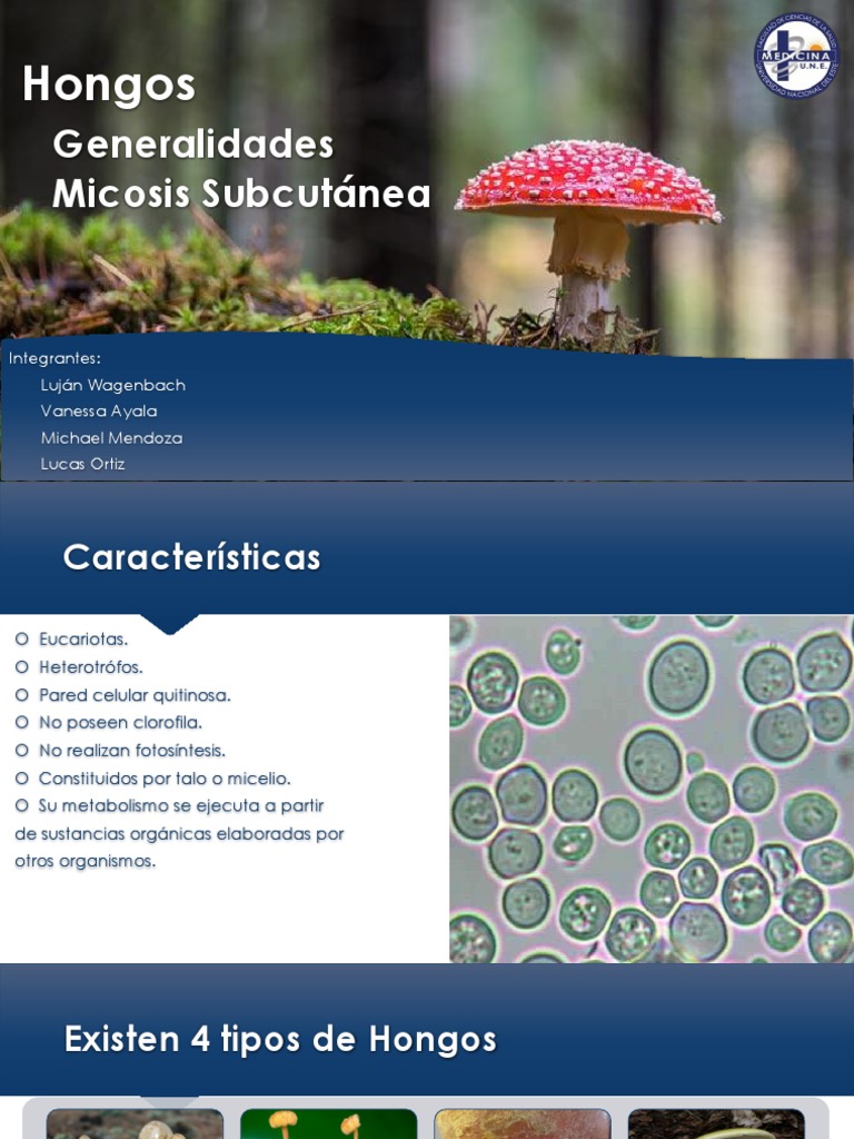 Hongos - Generalidades | PDF | Hongo | Epidemiología