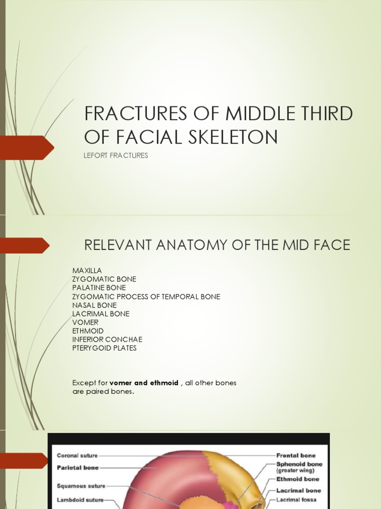 Fractures of Middle Third of Facial Skeleton | PDF | Human Head And ...