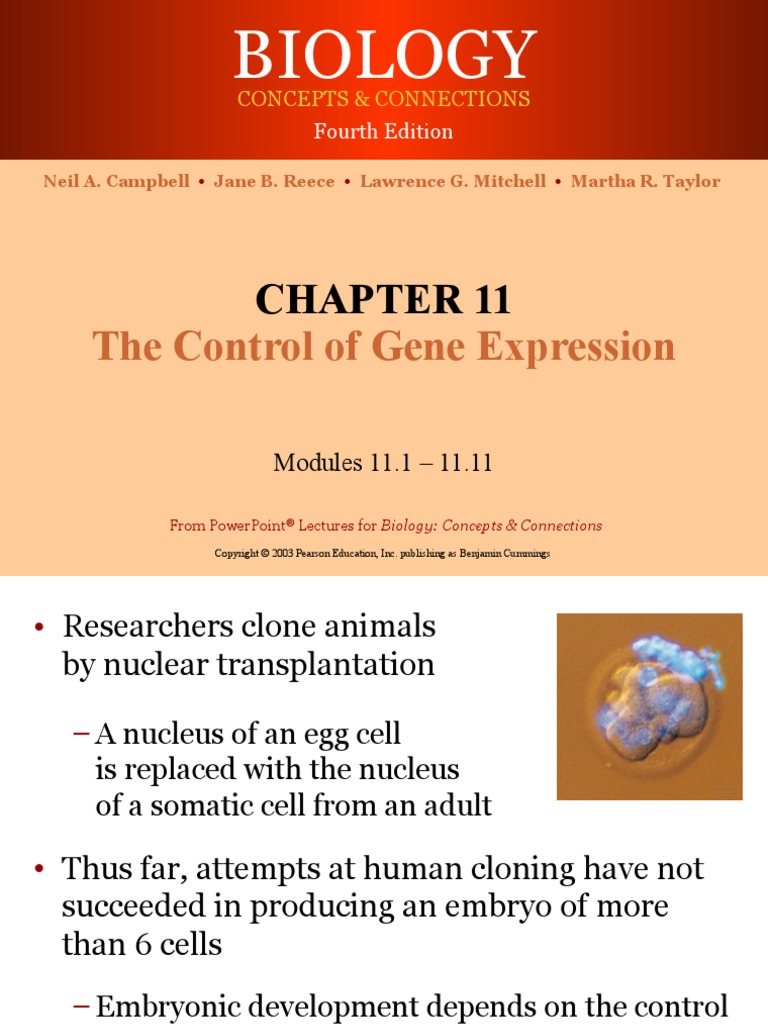 The Control of Gene Expression: Concepts & Connections | PDF | Operon | Repressor